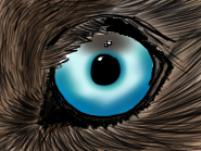 Wolf eye - ibisPaint