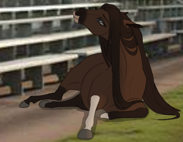 `` We should be good for now `` - ibisPaint