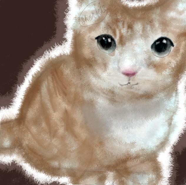 Another Cat - ibisPaint