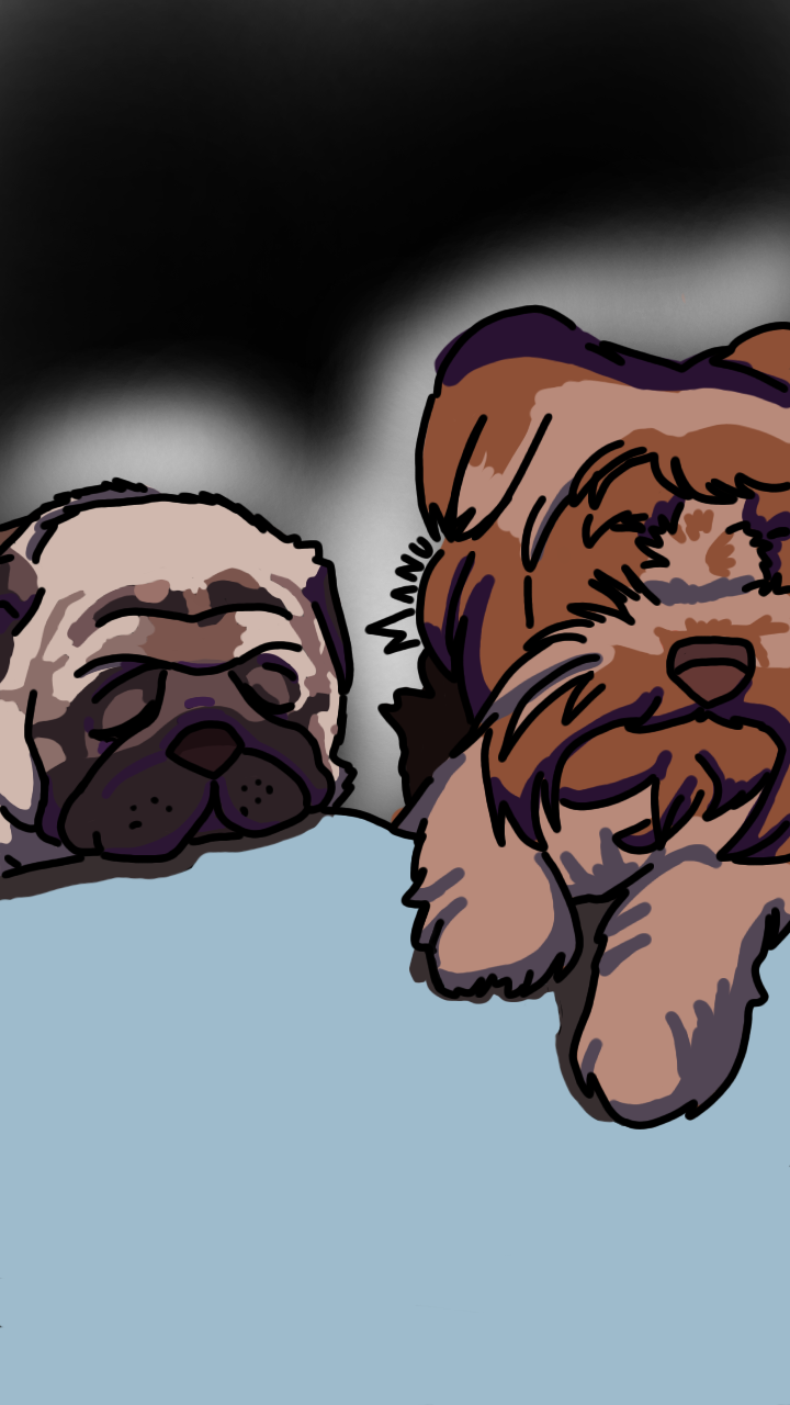Bartolomeu e Ted - ibisPaint