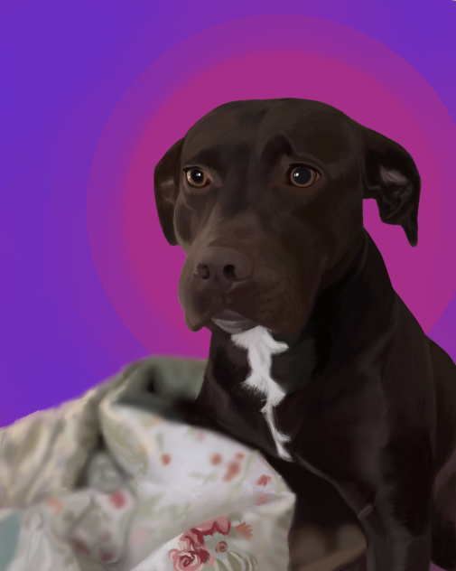 Bryce's dog-Coco - ibisPaint