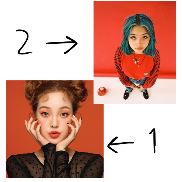 Which Photo Reference - ibisPaint