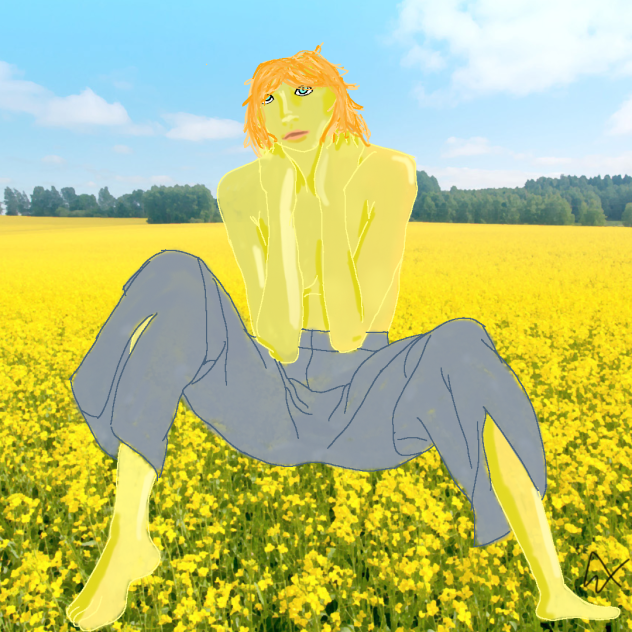 Campo de Flores - ibisPaint