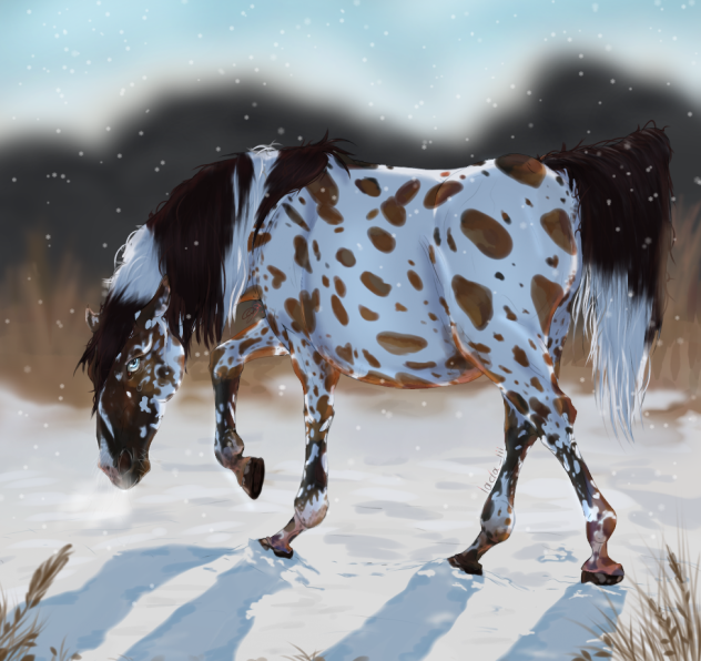 winter horse - ibisPaint
