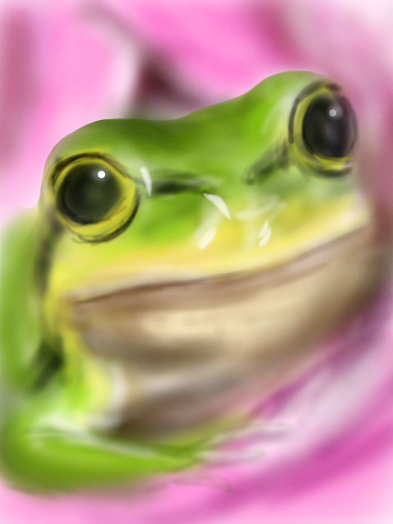 frog - ibisPaint