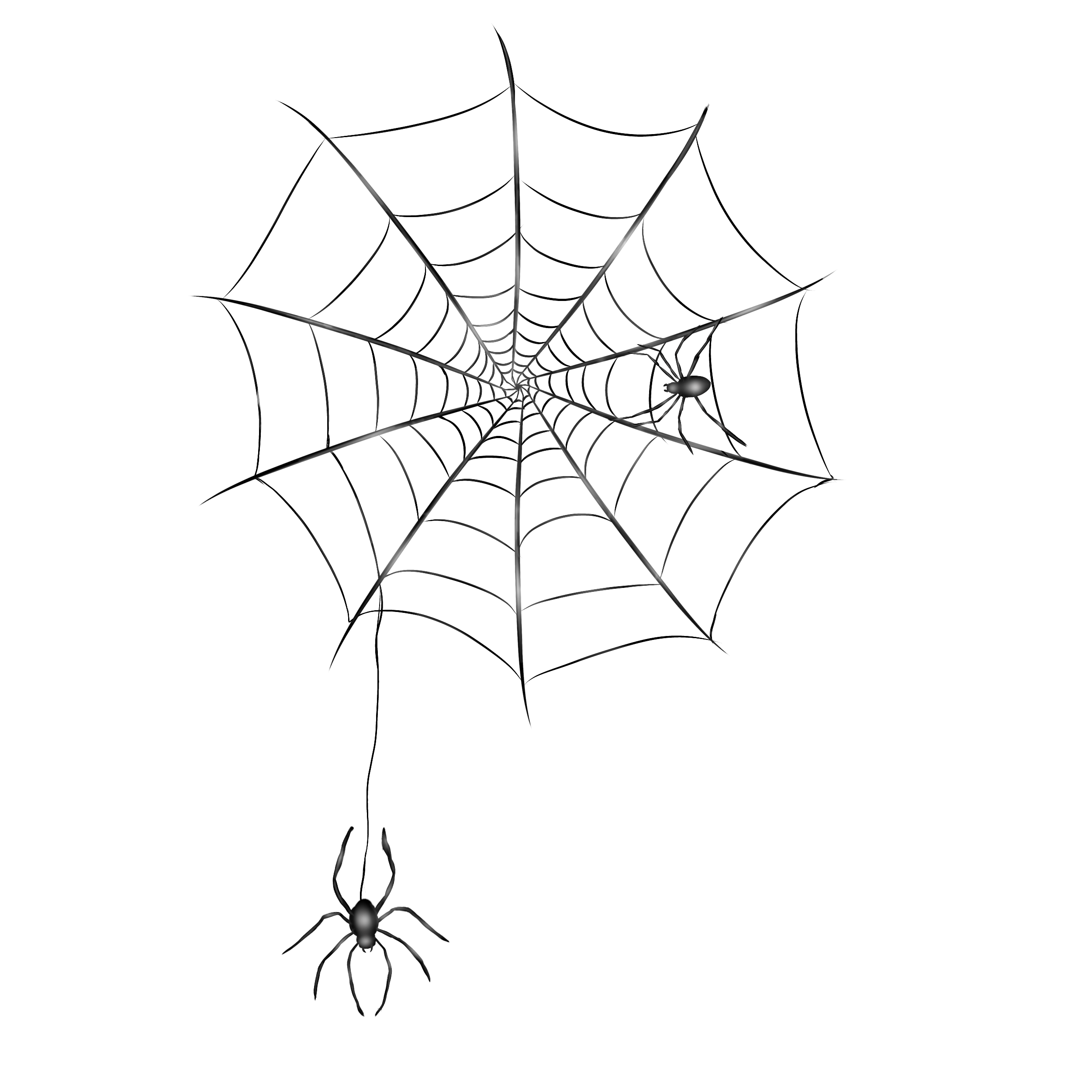 spider & spider web - ibisPaint