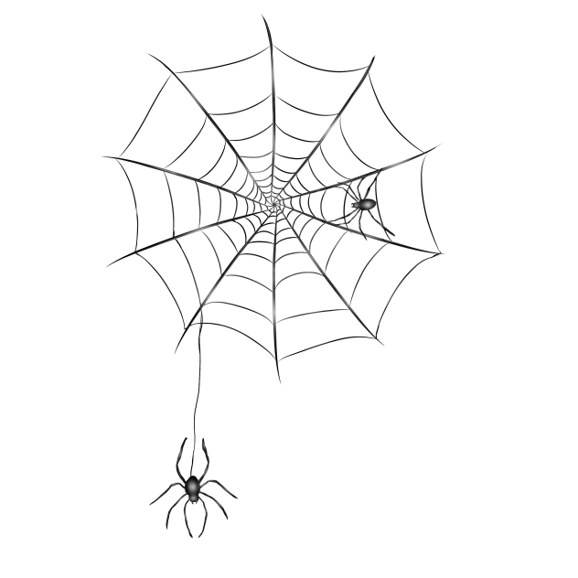 spider & spider web - ibisPaint