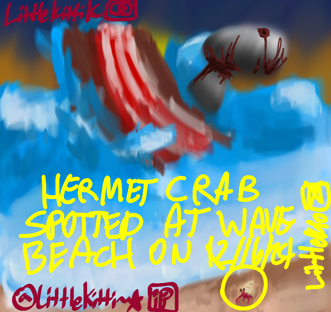 Hermet crab spotted at Wave Beach. - ibisPaint