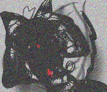 Miss Kitty death by forgetting - ibisPaint