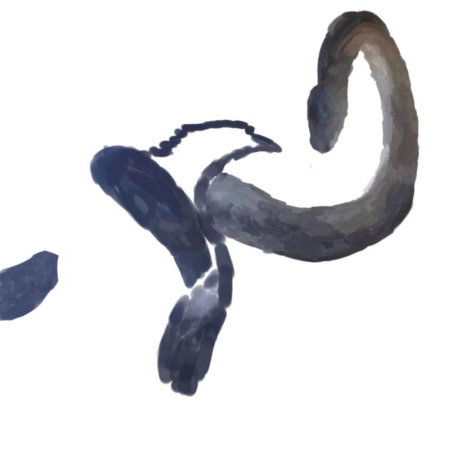 WORK IN PROGRESS!!!!!! - ibisPaint