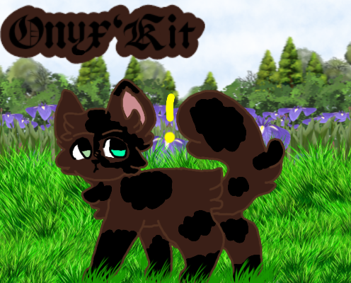 Onyx'Kit - ibisPaint