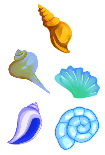 Dreamy sea Shells 1 - ibisPaint