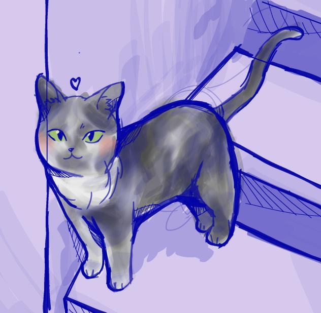 kitty - ibisPaint