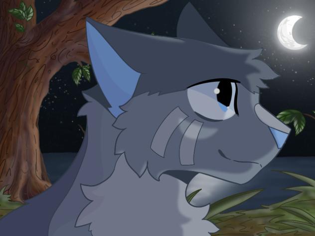 cat animations! - ibisPaint