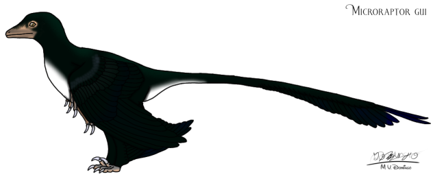Microraptor gui - ibisPaint