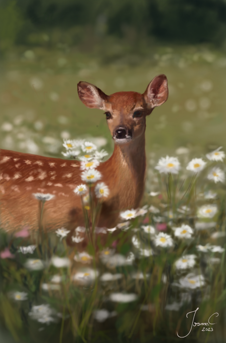 Oh Deer!🦌 - ibisPaint