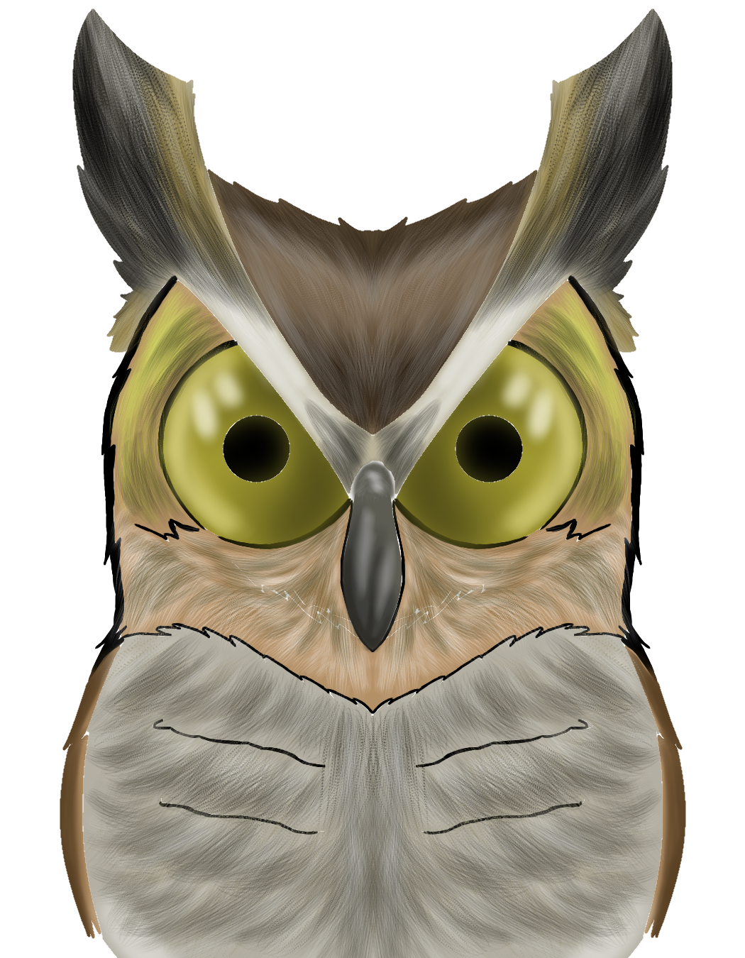 owl - ibisPaint