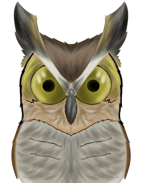 owl - ibisPaint