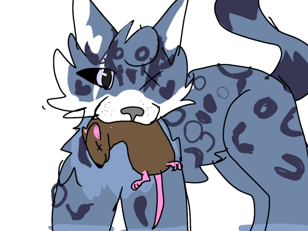 warrior cats oc, blue'fur - ibisPaint