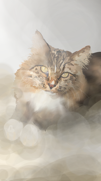 kittyyyy - ibisPaint