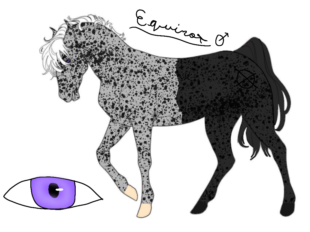 Equinox - Design - ibisPaint