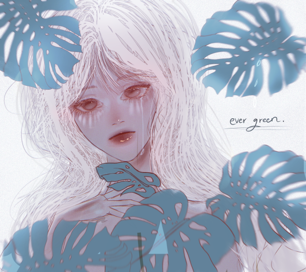 evergreen - ibisPaint