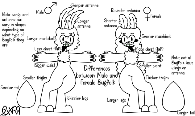 Differences in Male and Female Bugfolk - ibisPaint