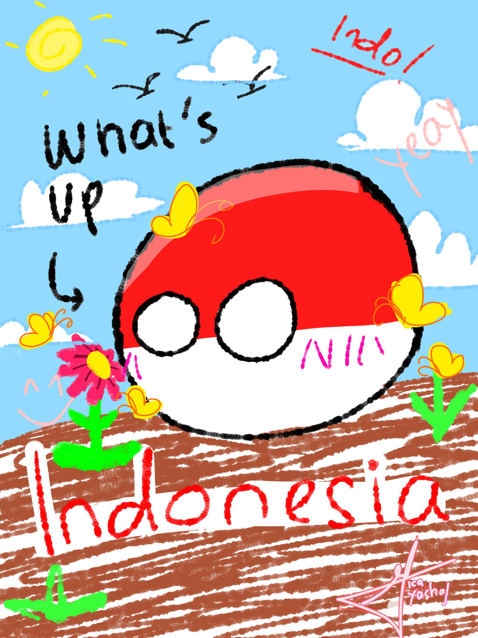 Country ball Indo - ibisPaint