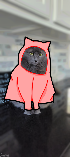 My cat in a sweater - ibisPaint