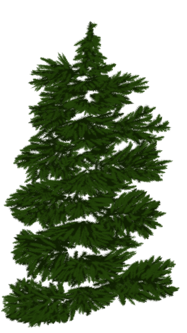 pine tree stamp - ibisPaint