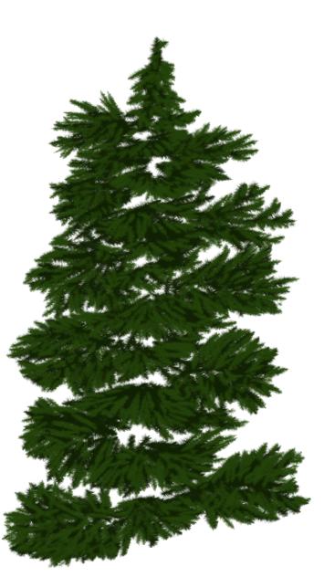 pine tree stamp - ibisPaint