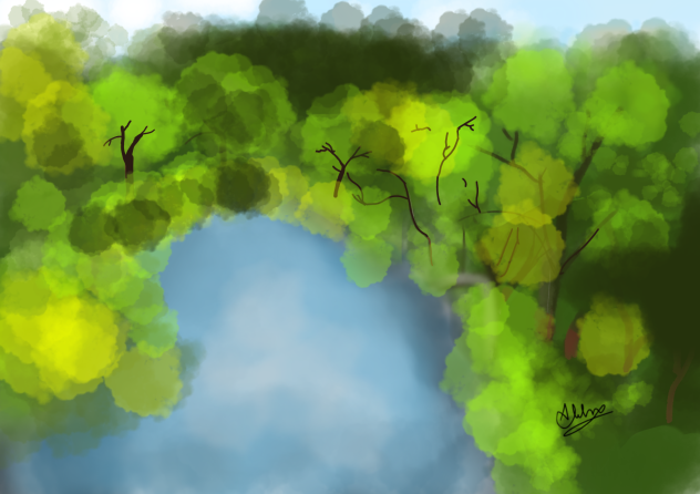 Forest - ibisPaint