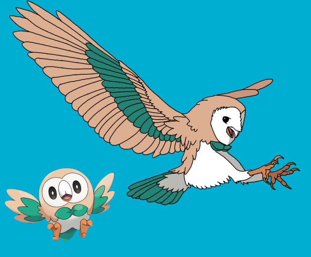 Turning a Real Barn Owl Into Rowlet - ibisPaint