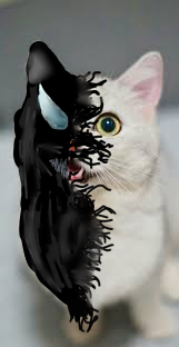 Venom cat - ibisPaint