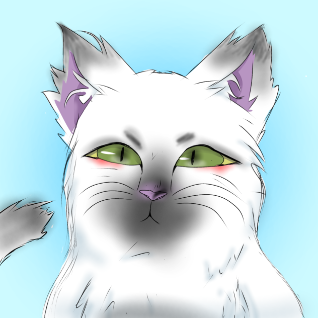 cat - ibisPaint