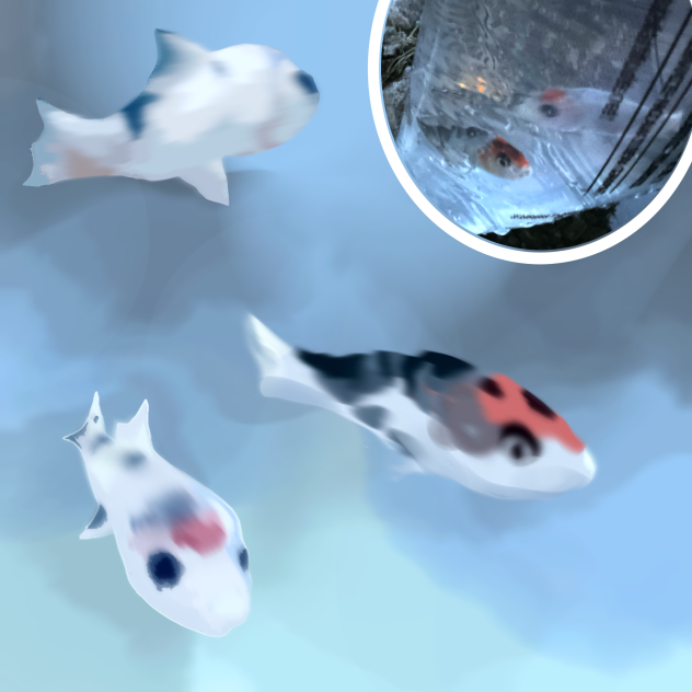 My koi - ibisPaint