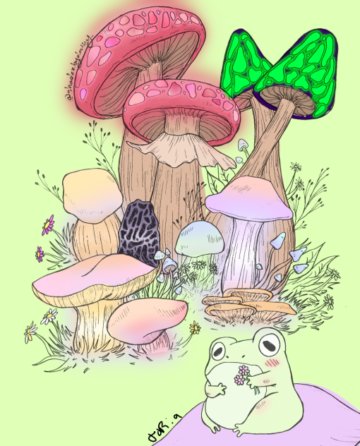 cute frog - ibisPaint