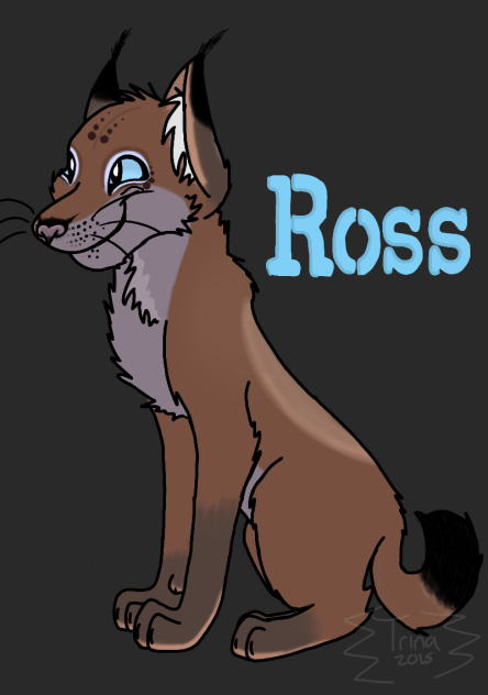 Ross the lynx - ibisPaint