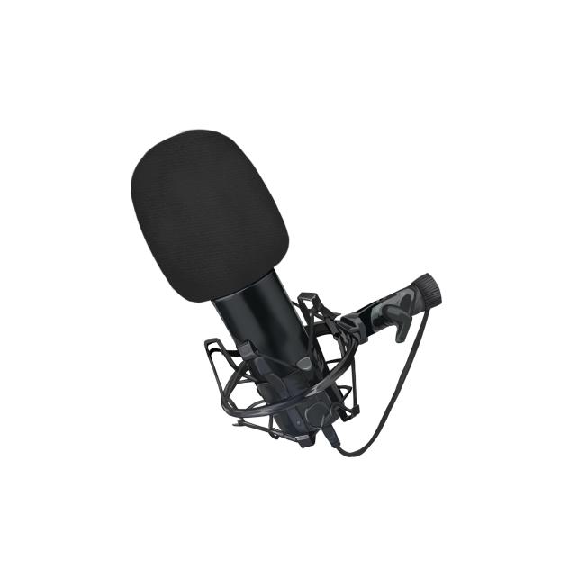 Streamer's Mic - ibisPaint