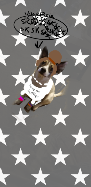 Vsco Dixie - ibisPaint