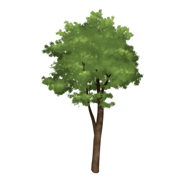 tree 2 - ibisPaint