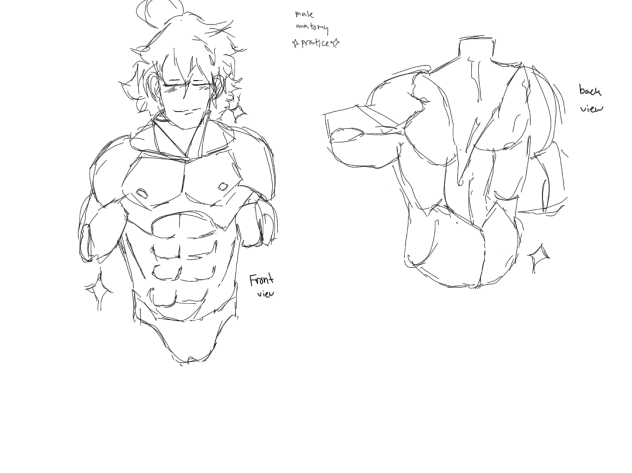 male anatomy practice - ibisPaint