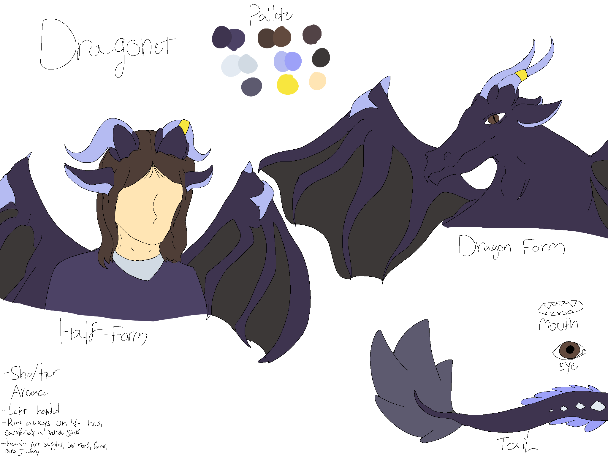 Dragonet Ref Sheet - ibisPaint