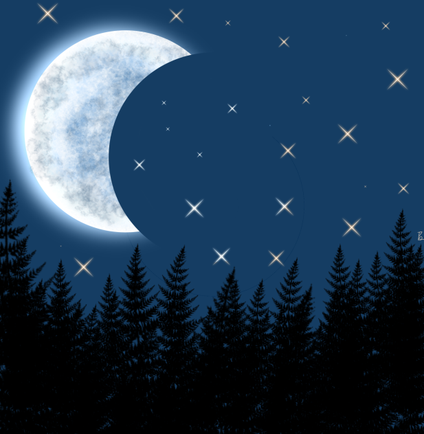 night sky - ibisPaint