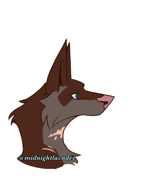 First Animation - ibisPaint