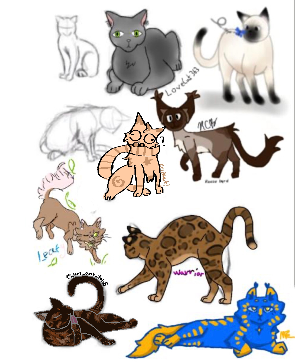 Cat collab! - ibisPaint