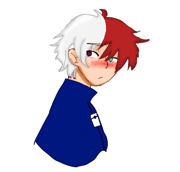todoroki choto - ibisPaint