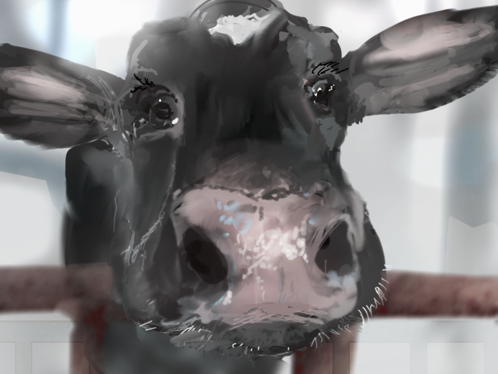 cow - ibisPaint