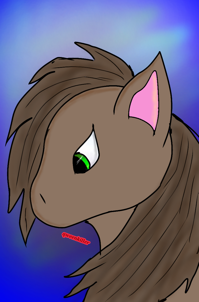 pretty pony - ibisPaint