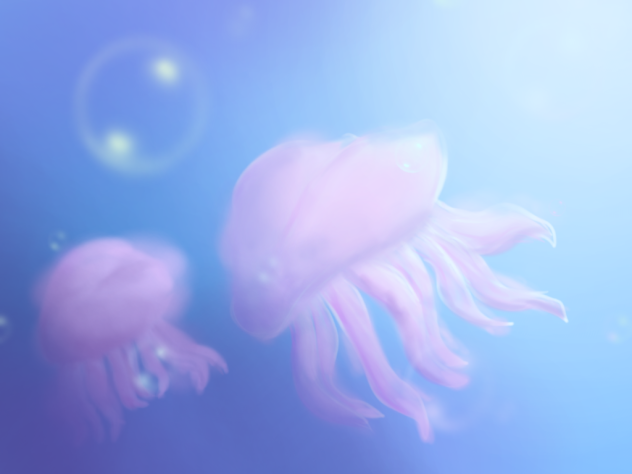 해파리 jelly fish - ibisPaint